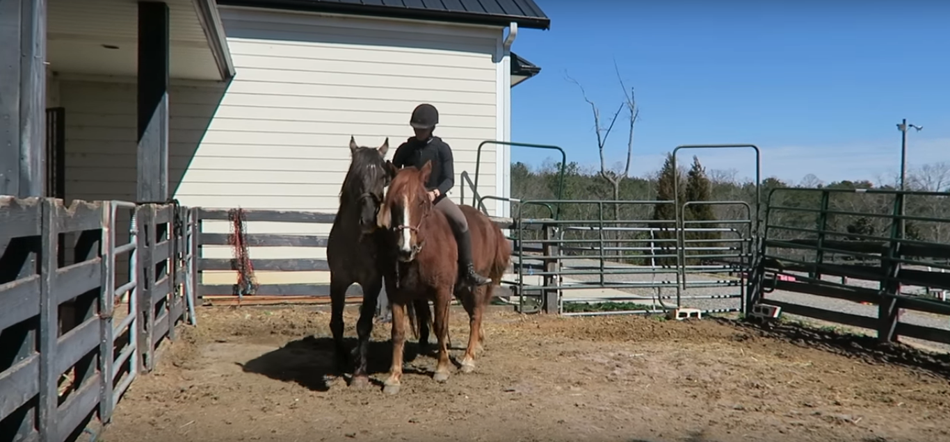 Best Helper Ever – Elisa Wallace Eventing