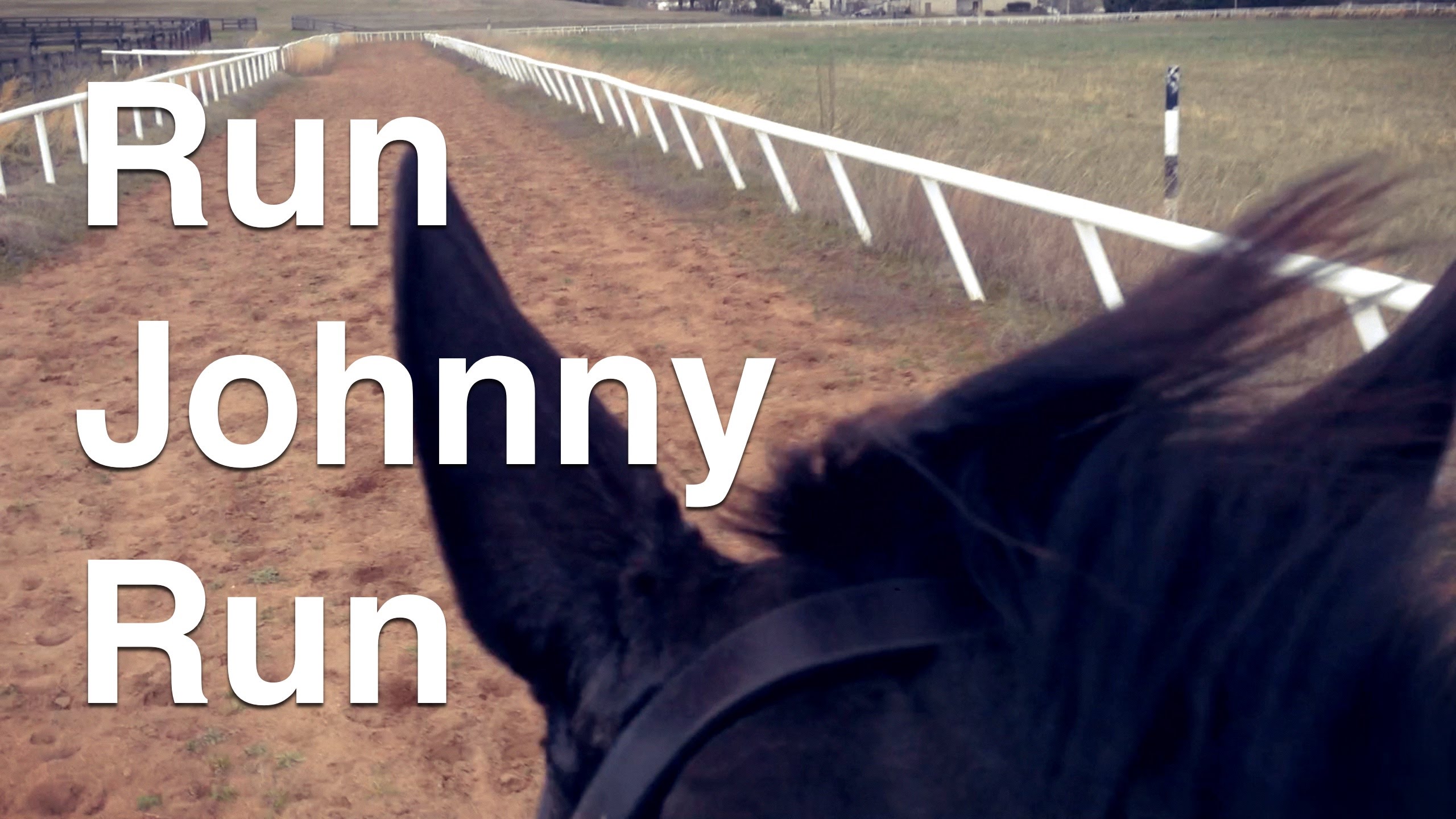 Run Johnny Run – Elisa Wallace Eventing