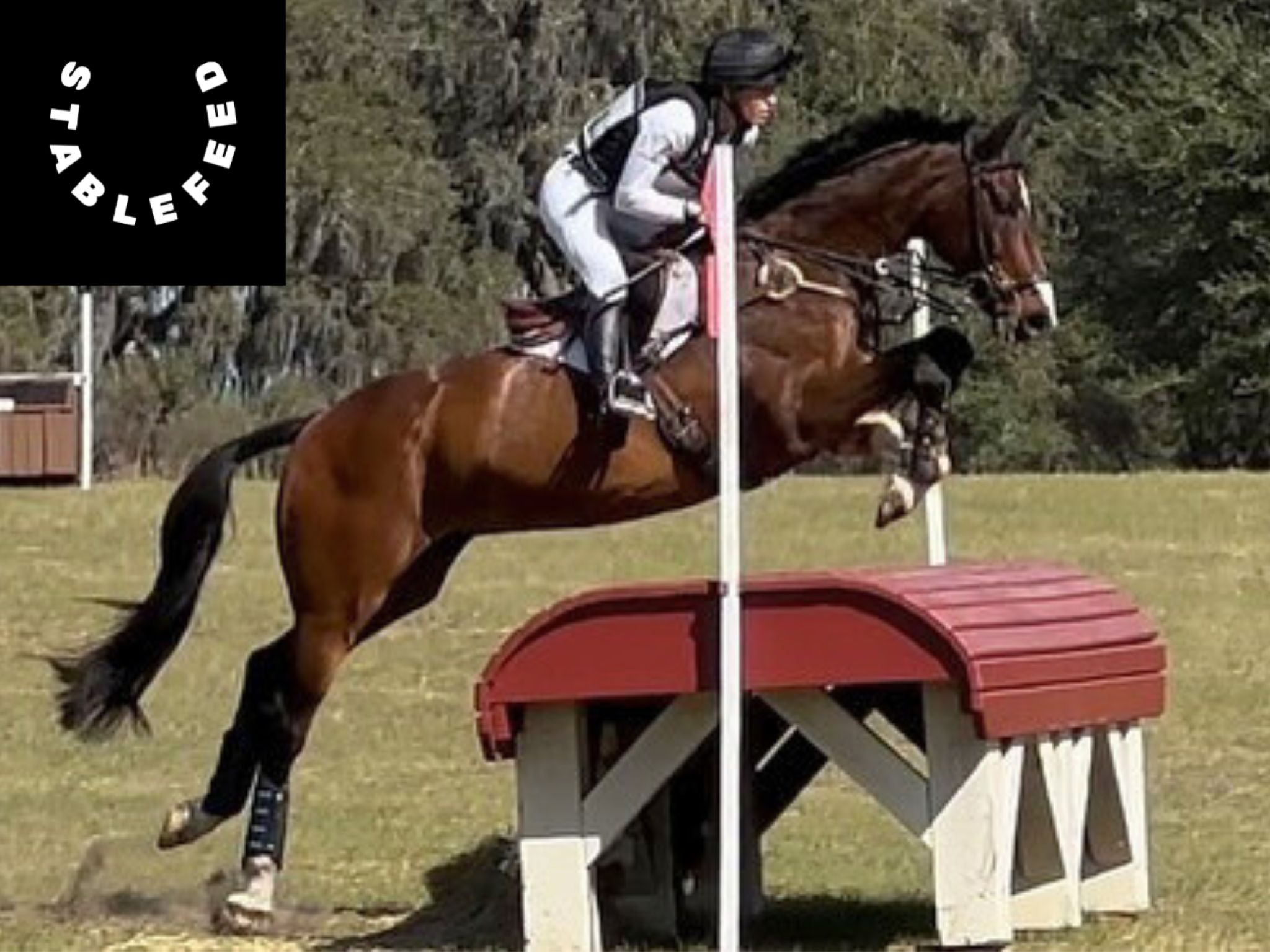 Elisa Wallace Eventing – Elisa Wallace is a professional five star ...